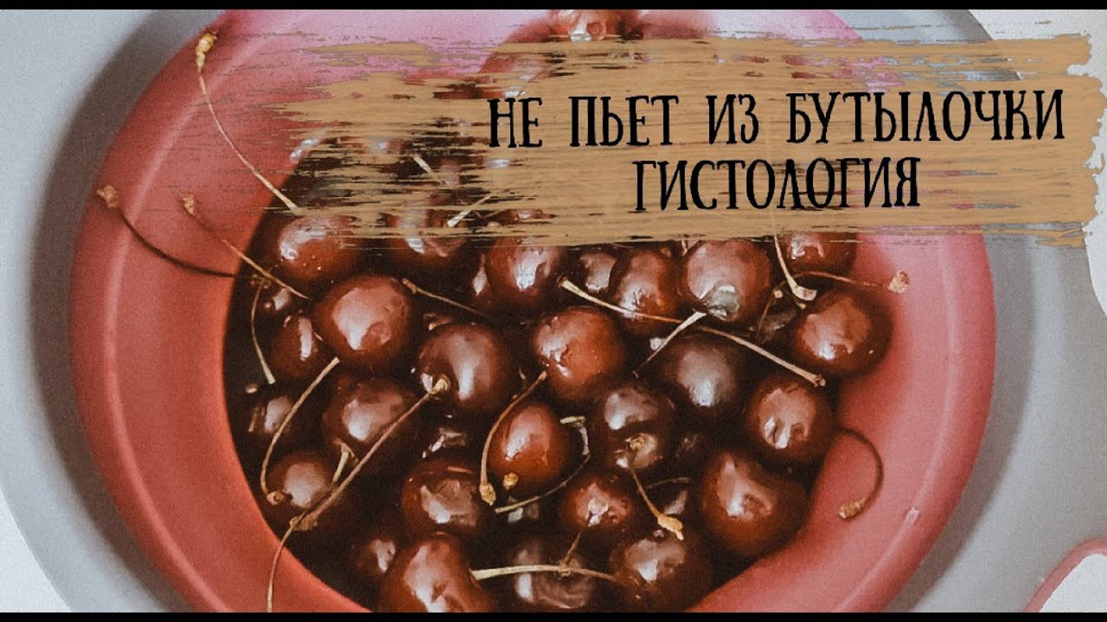 Всё хорошо I готовимся к поездке на поезде с малышкой