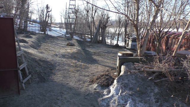 Пчёлки 74. Подготовка точка