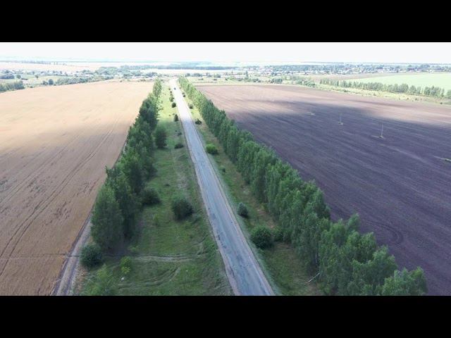 Проложенная из навозохранилища свинарника по полям труба в окресностях Сухой Лубны 14.07.2021 год.