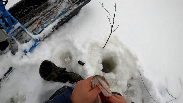 Селигер ловим щук mp4