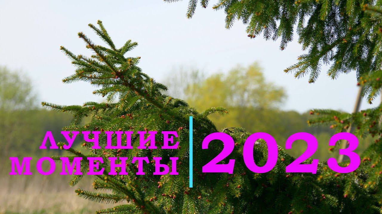 Глобус России. Лучшие моменты 2023