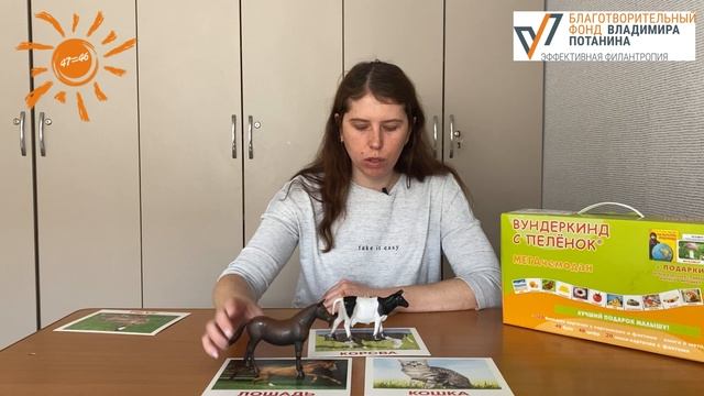 Занимаемся с пособием "Вундеркинд с пелёнок"