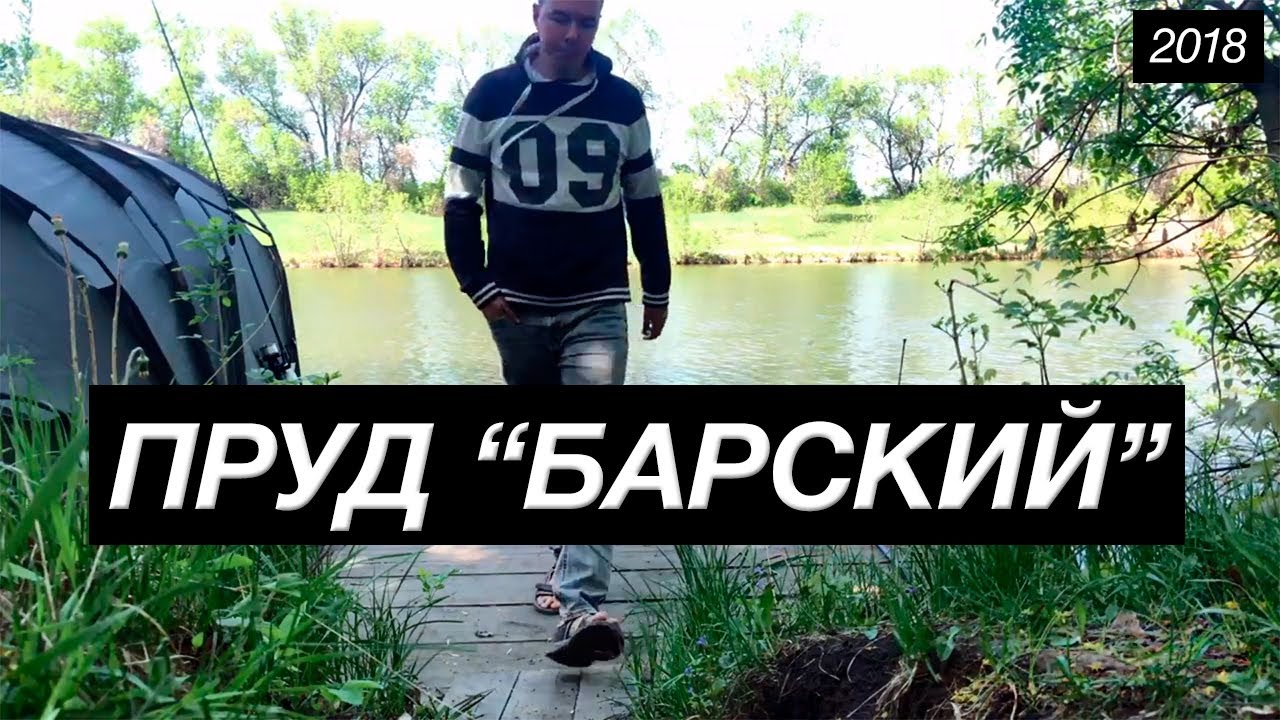 Пруд Барский (май 2018)