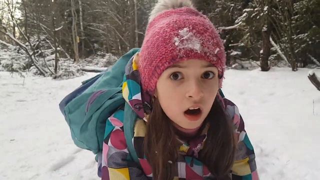 Прогулка в лесу...