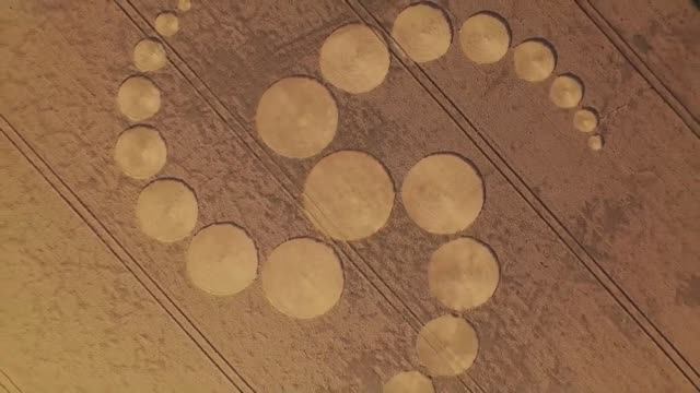 КРУГИ НА ПОЛЯХ. Очень КРАСИВАЯ пиктограмма. Польша, местность Надарзикач. Найден 19 июля 2020 года.