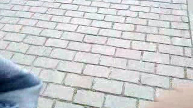 1000005710.mp4