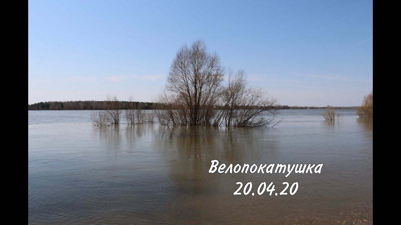 Велопрогулка в Заельцовский Парк