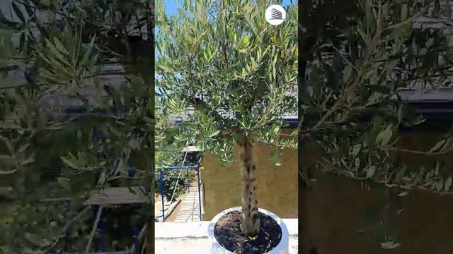 Забор-жалюзи Модерн от завода Новый Дом