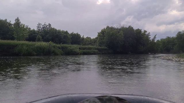 В поисках пристанища