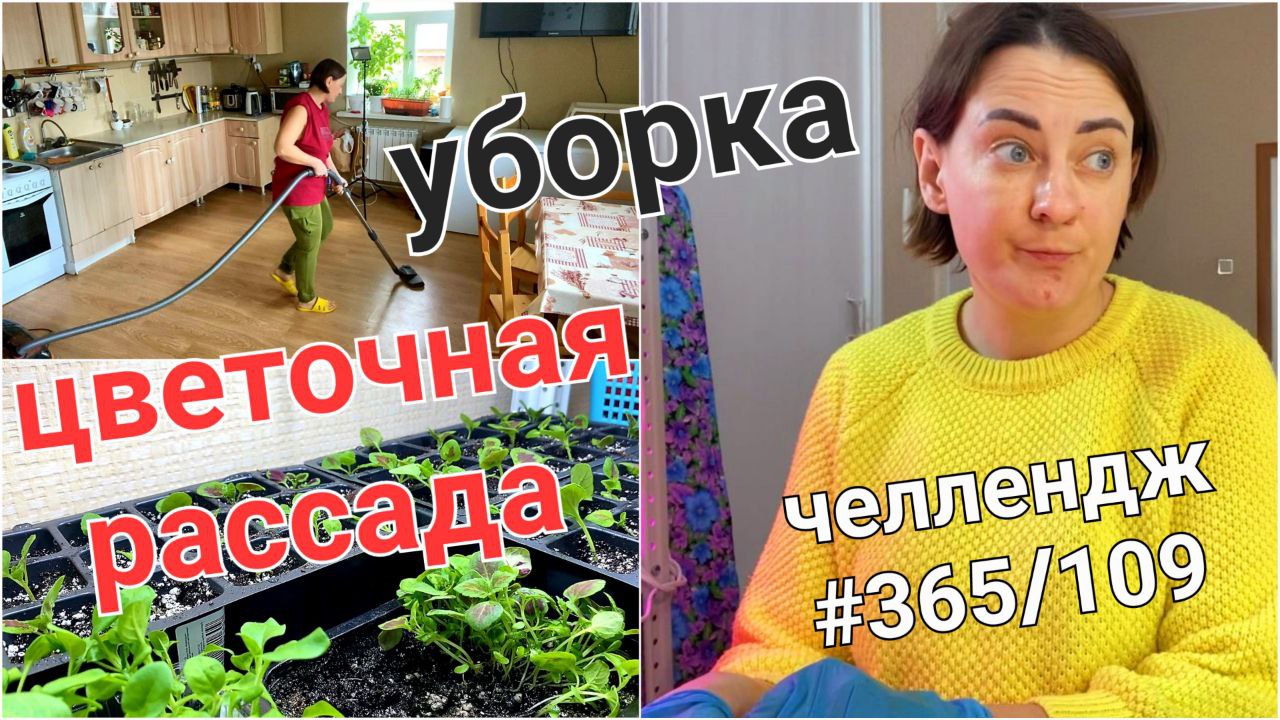 Челлендж 365#109/Ежедневные влоги весь год/Уборка в доме. Цветочная рассада: петунии, колеус, ипомея