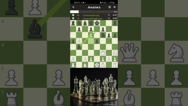 1 ошибка и мат