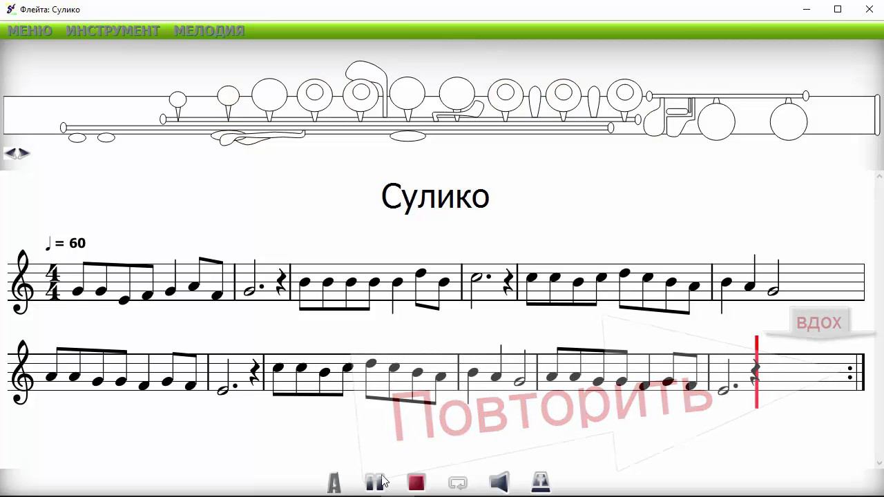 Сулико на поперечной флейте