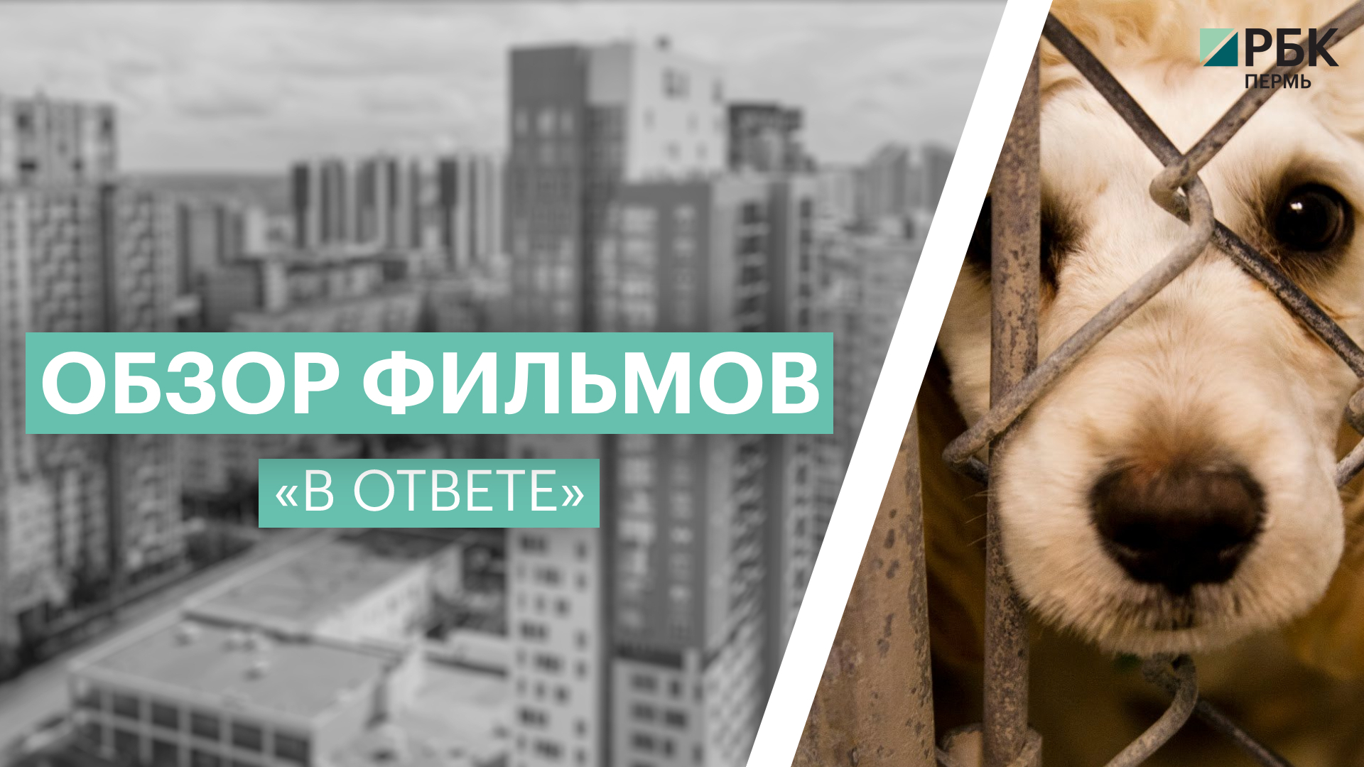 Обзор фильма «В ответе»