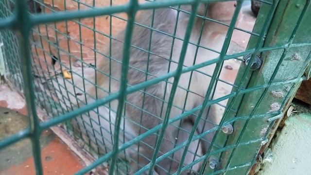 Черное море ! Джубга