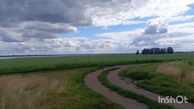 #РАСЧИЩАЕМ #ЗАПУЩЕННЫЙ #УЧАСТОК/ПРОГУЛКА ДО УПРАВЛЕНИЯ #СНТ