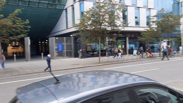 Ирландцы и погода #shorts