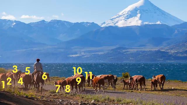 Look Level 1 Unit 8 Video 10