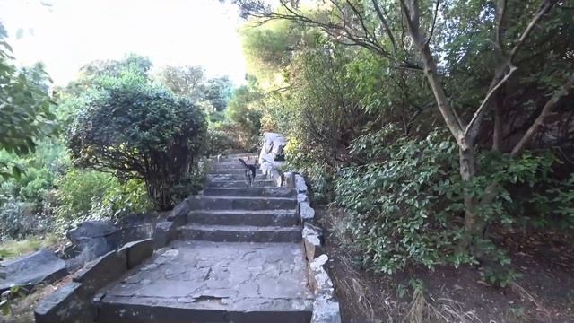 Крым. Воронцовский дворец, июнь 2018...