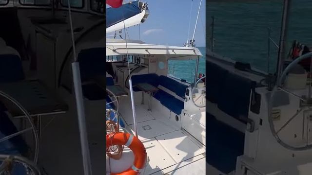 Аренда Яхт. Морское путешествие. Встречи с  Дельфинами. Лазаревское