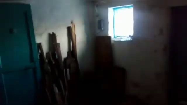 Пёсики? и зимний день❄️