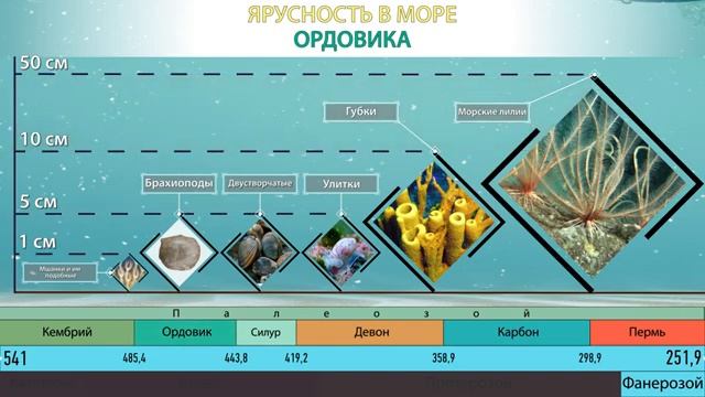 ОРДОВИКСКИЙ ПЕРИОД. Развитие жизни на Земле. 5 серия _ Великая Радиация и Великое Вымирание
