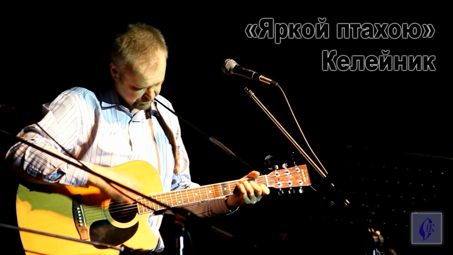 Келейник: "Яркой птахою"