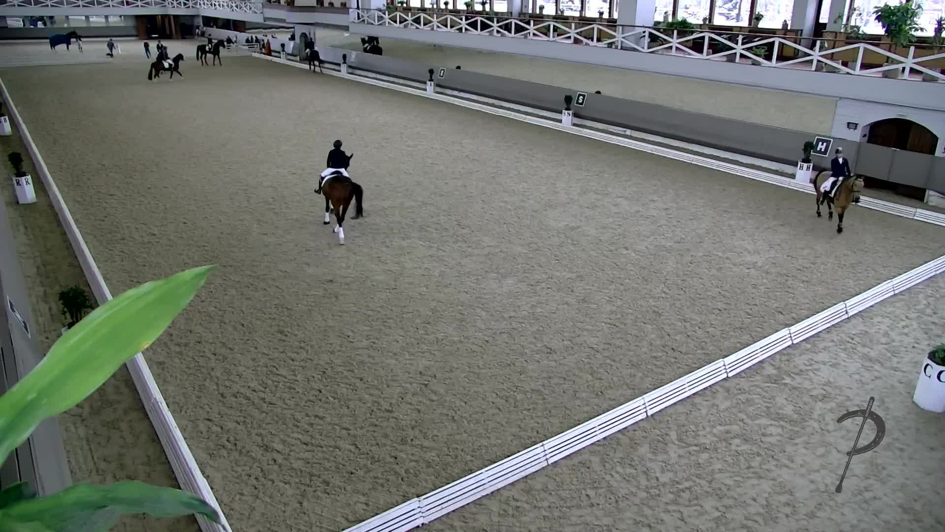 Осенний кубок клуба ПРАДАР