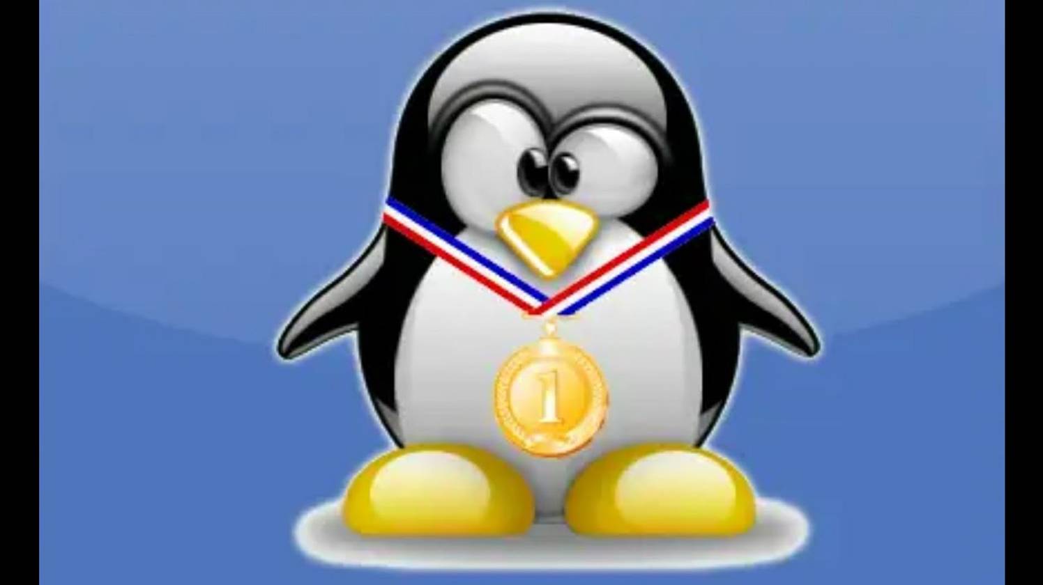 🐧Я стала пингвинчиком🐧