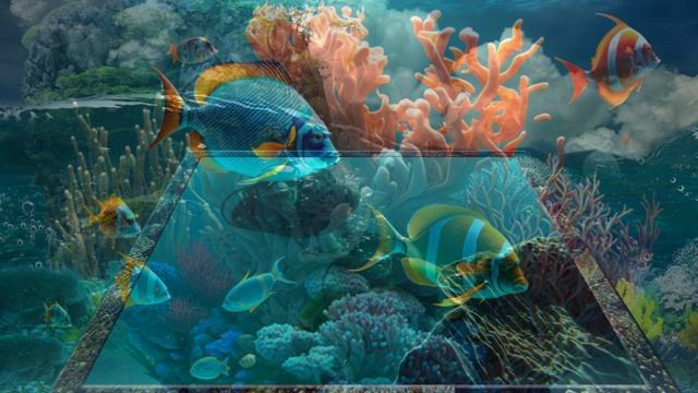 Дайвинг видеомонтаж на заказ портфолио