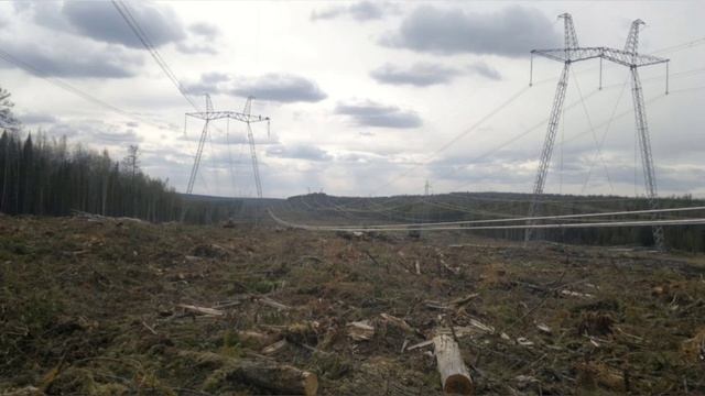 Фото на линии 2