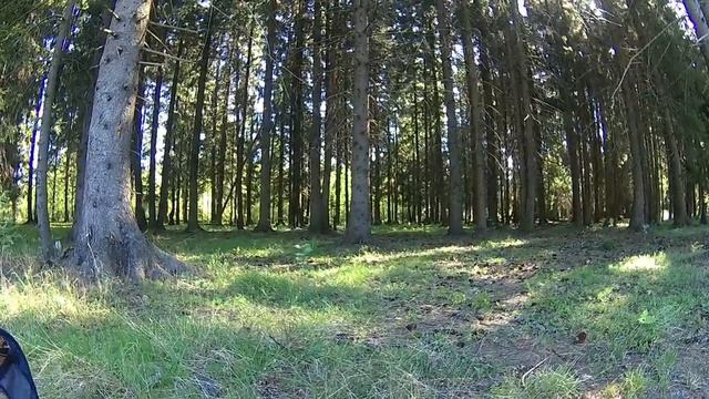 Элексир ' Сосновка' Часть первая.