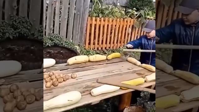 ? Дачные развлечения