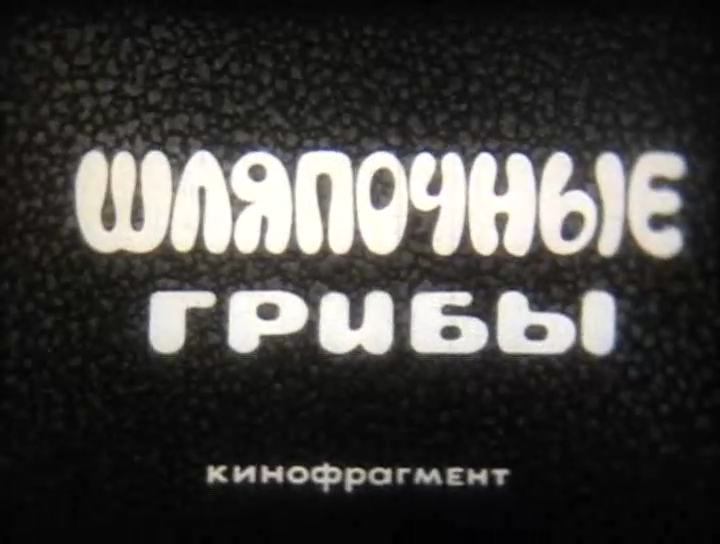 Шляпочные грибы