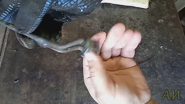 Новый, не очень удачный  ложкорез..mp4