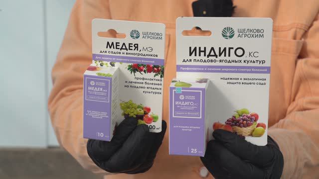 Защита сада от грибков и патогенов