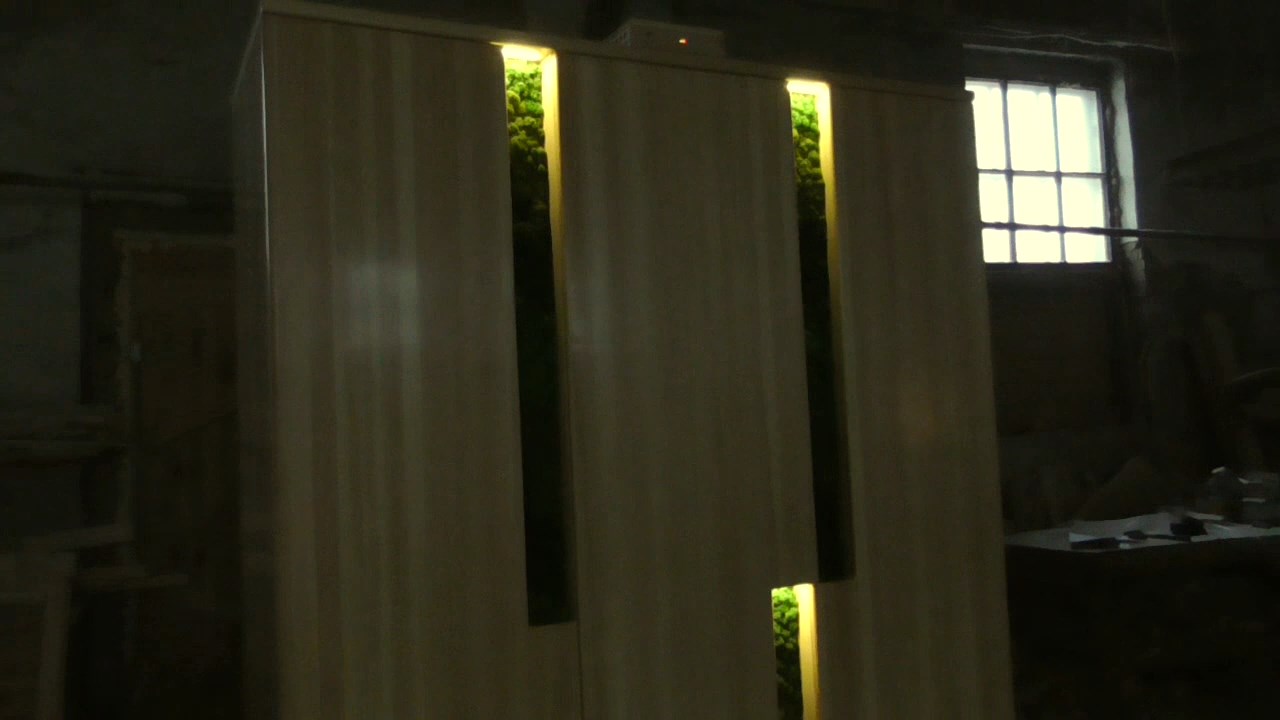 Кедровый платяной шкаф с подсветкой и вставками из стабилизированного мха (Антропова)