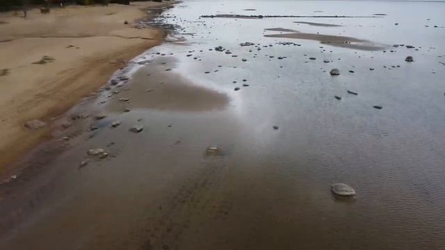 Койонсаари (Карелия)