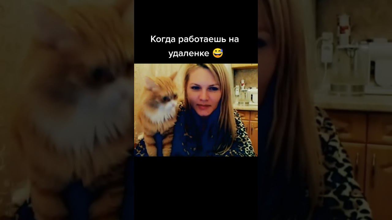 Ух ты, ты дома?! И я дома! 😉🤭😸#персик #рыжийкот #животные