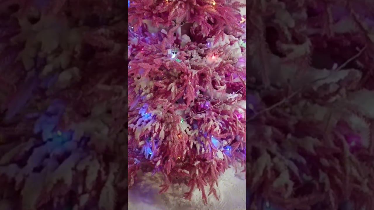 Челябинск 2024. Кировка