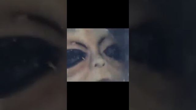 Саркофаг с пришельцем откопали в #Антарктиде