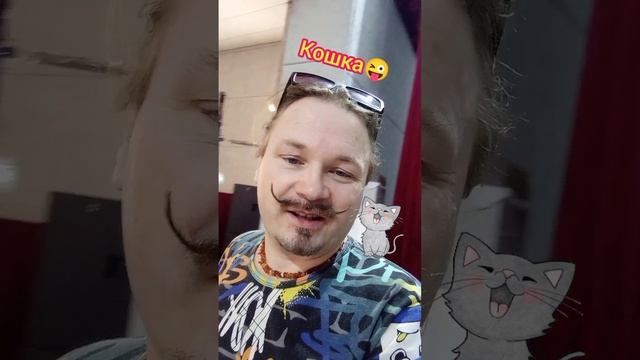 Усы и кошка?