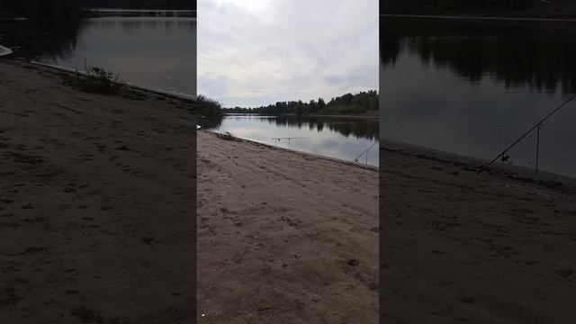 Коротко о рыбалке???.