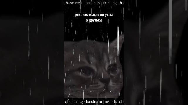 пов или рил?