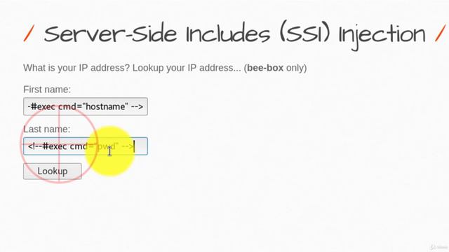 10. OWASP A1 Injection Labs Pt 5