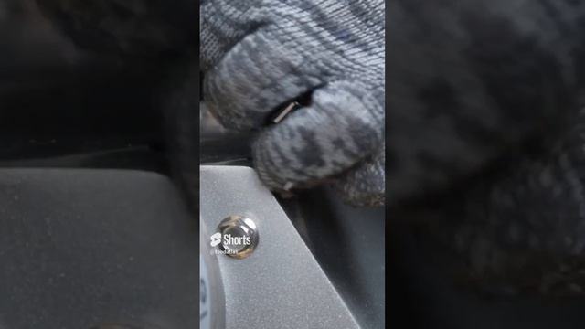 ГЛАВНОЕ ОТЛИЧИЕ МЯСОРУБОК СЕРИИ ТК Foodatlas