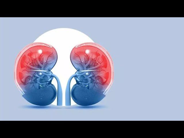 Болезни почек и МКБ. О диеткорме.