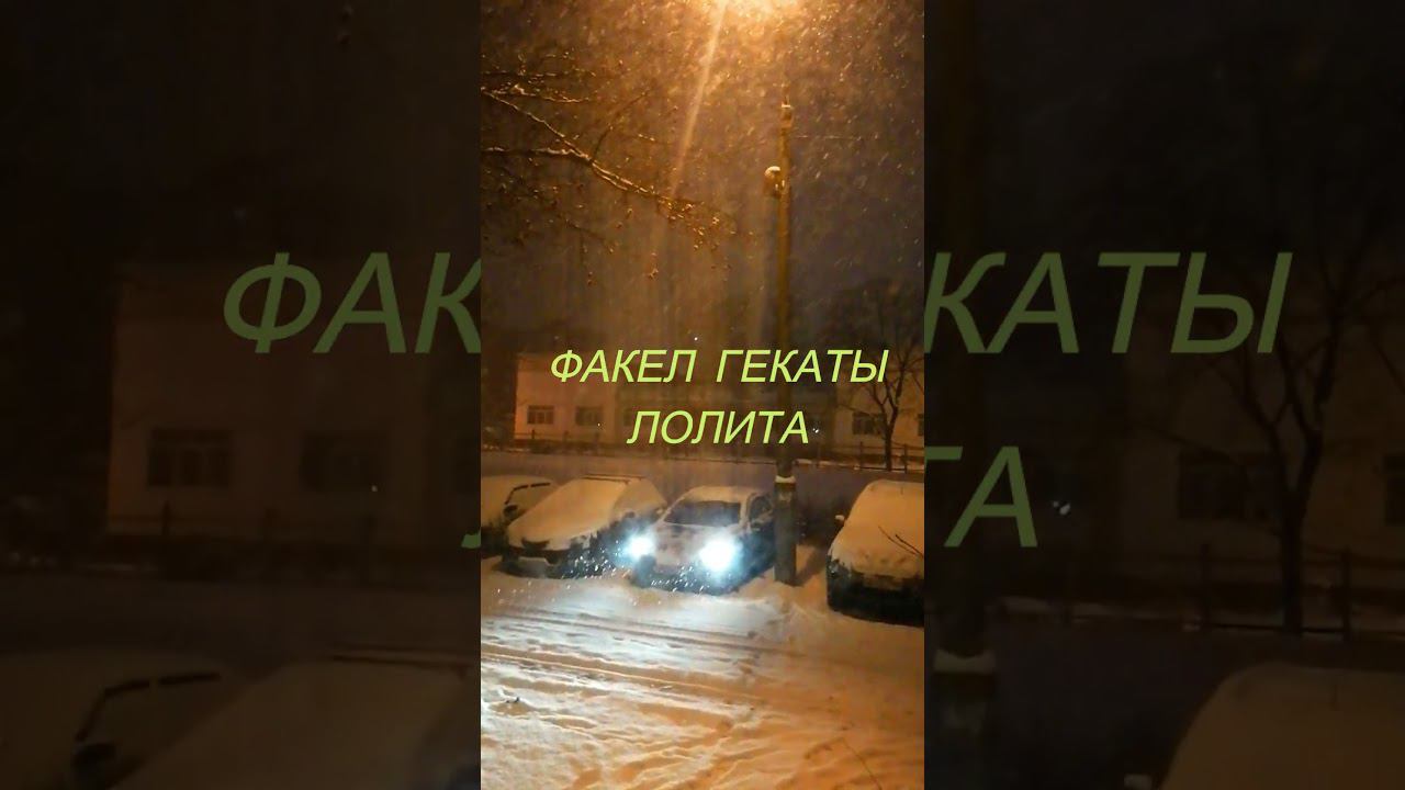 #shorts_СНЕГ_СНЕЖОК_БЕЛАЯ_МЕТЕЛИЦА_ФАКЕЛ_ГЕКАТЫ_ЛОЛИТА_25_11_2023_454 #ОЙ_СНЕГ#ФАКЕЛ_ГЕКАТЫ_ЛОЛИТА