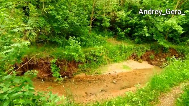 Прогулка в парке