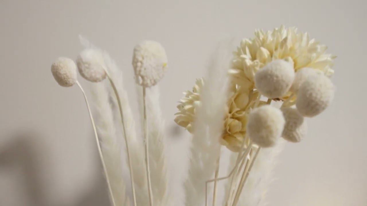 ролик2 Студия 234