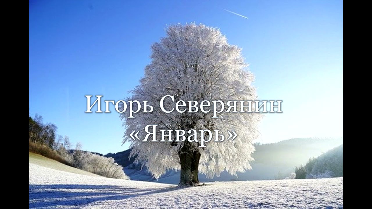 Поэтический дивертисмент «Времена года – сезон чтения стихов». Январь